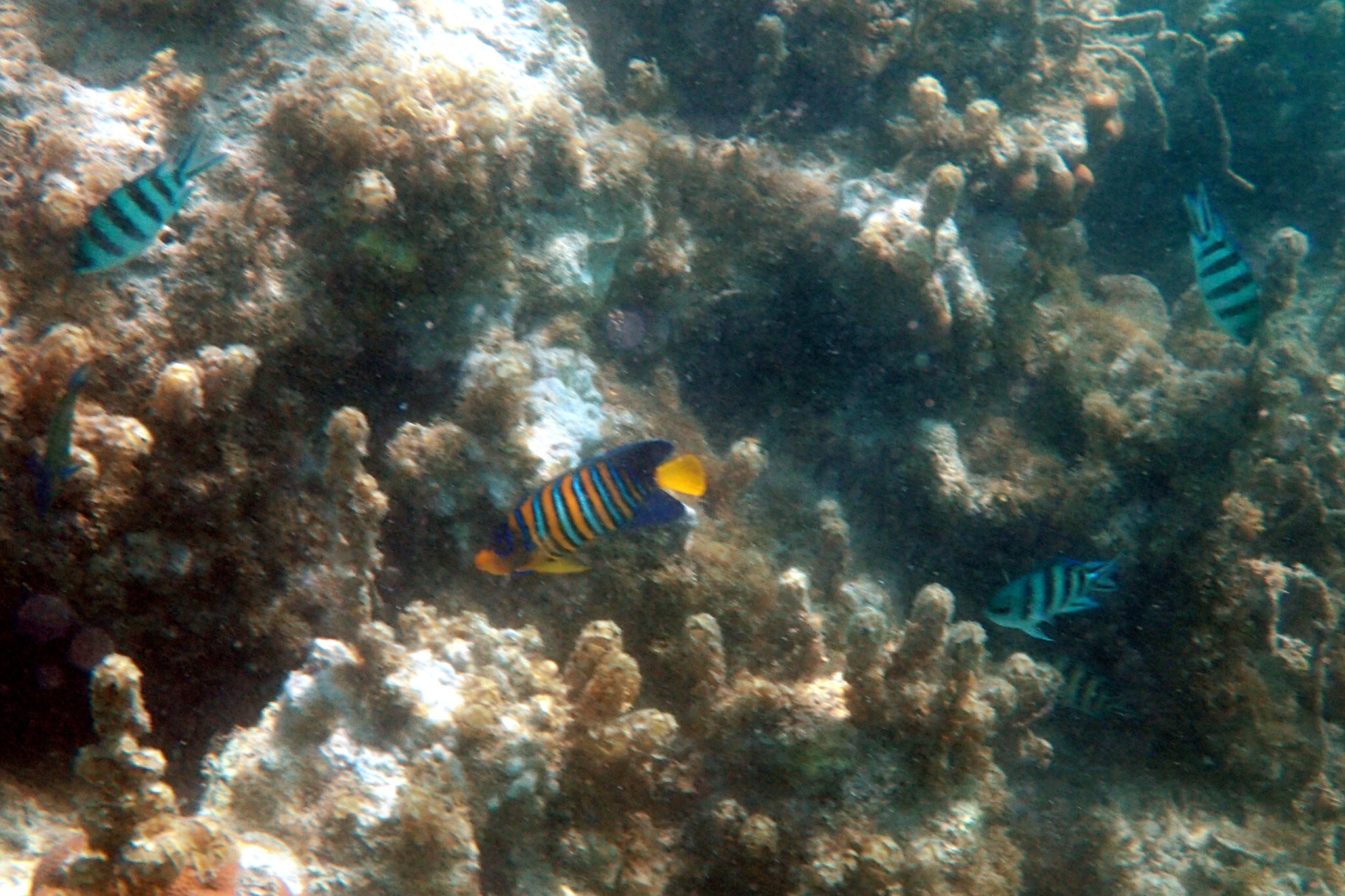 Ile Maskali et banc de sable – Le journal de Clo, notre famille ...